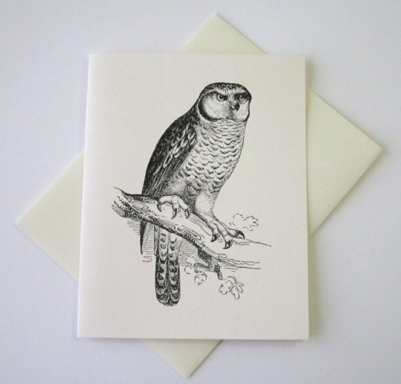 Owl Note Cards Stationery Set of 10 Cards With Matching Envelopes - Etsy