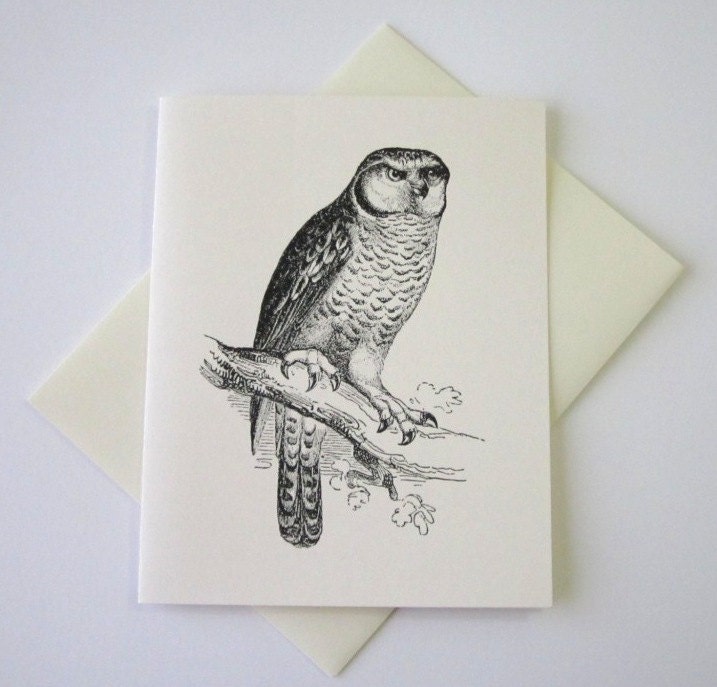 Owl Note Cards Stationery Set of 10 Cards With Matching - Etsy