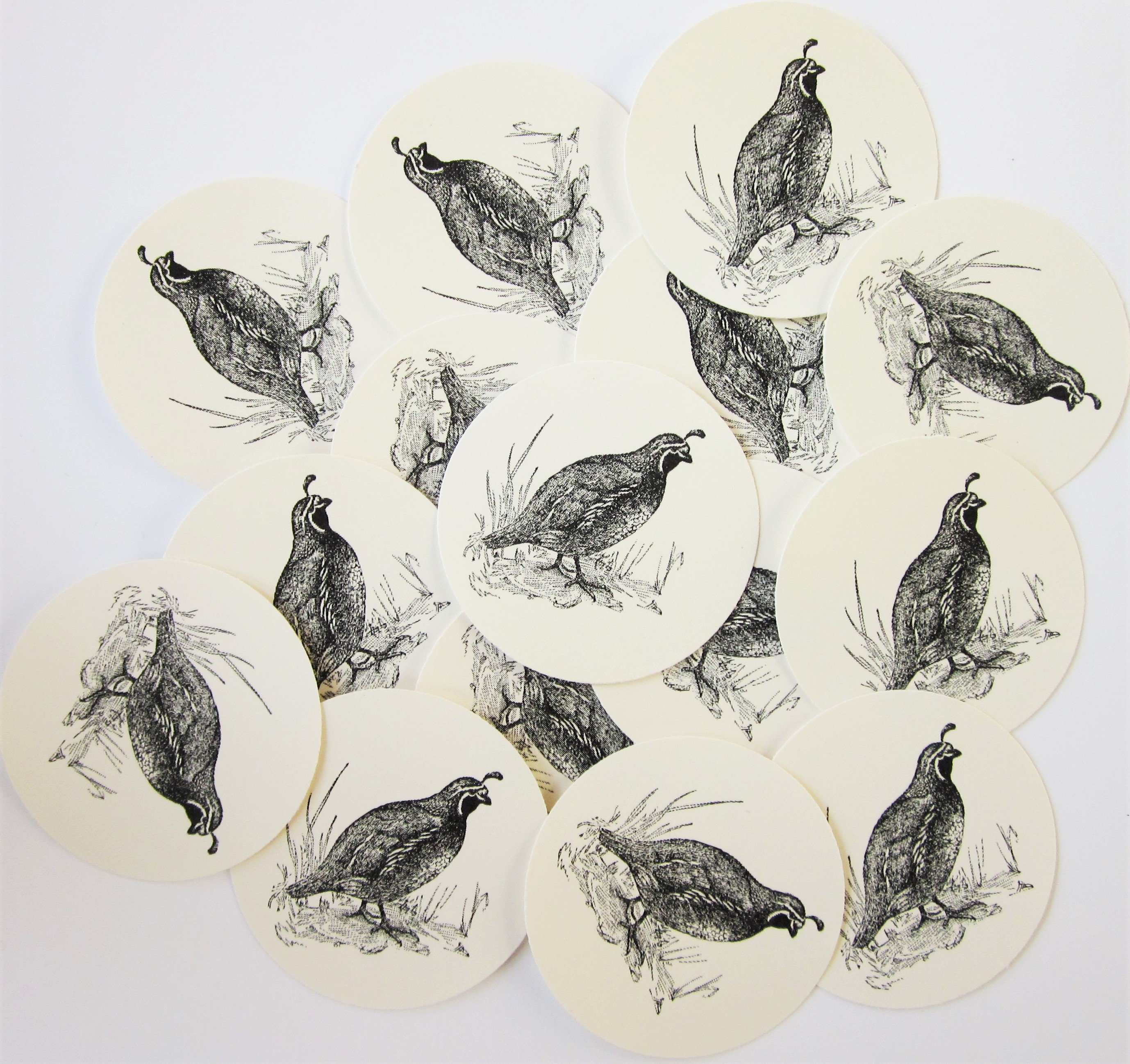 Quail Bird Round Gift Tags Set of 10 - Etsy