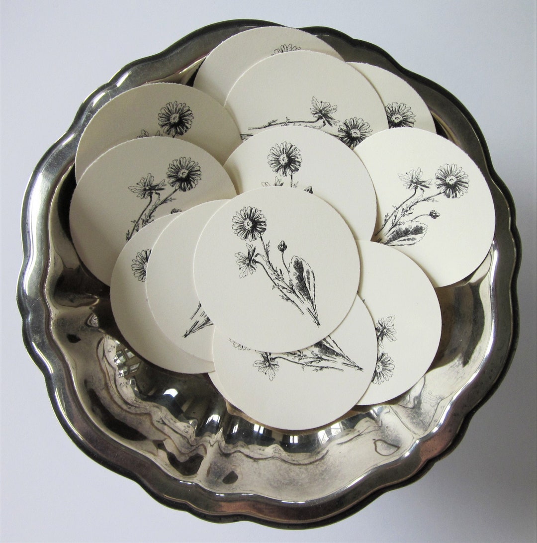 Daisy Dandelion Wildflower Flower Tags Round Gift Tags Set of 10 - Etsy