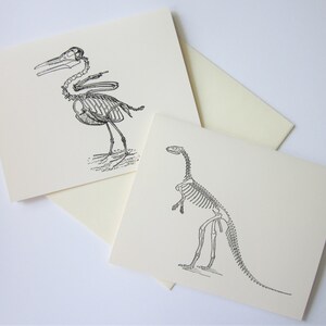 Dinosaur Skeleton Bones Note Cards Set of 12 With Matching Envelopes - Etsy