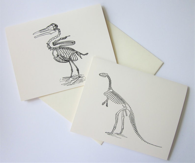 Dinosaur Skeleton Bones Note Cards Set of 12 With Matching - Etsy