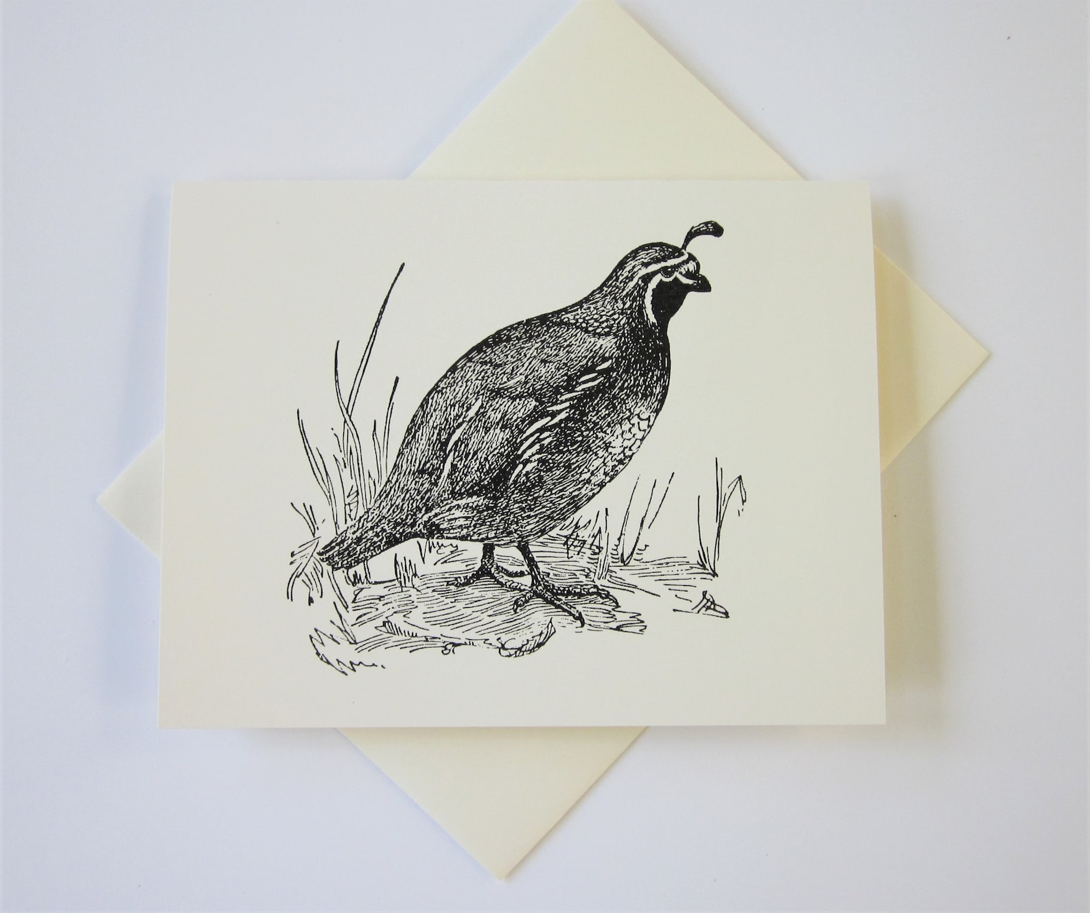 Quail Bird Note Cards Set of 10 With Matching Envelopes - Etsy