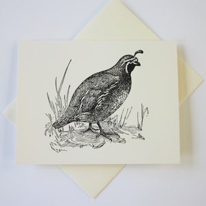 Quail Bird Note Cards Set of 10 With Matching Envelopes - Etsy