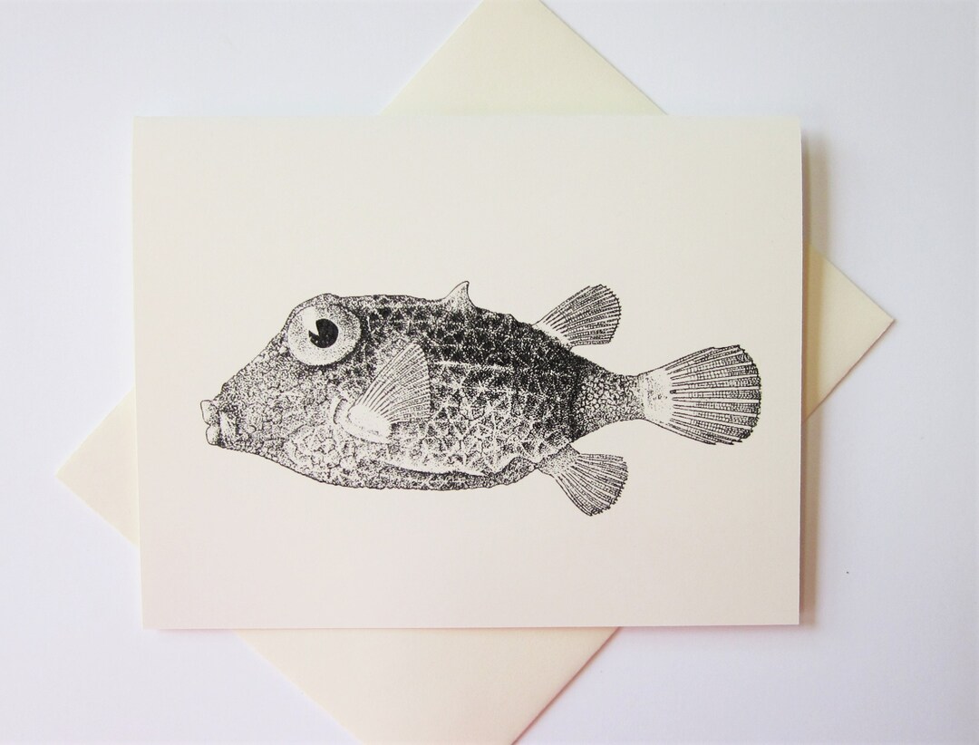 Fish Note Cards Set of 10 With Matching Envelopes - Etsy
