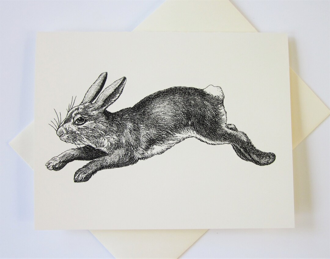 Rabbit Note Cards Stationery Set of 10 Cards in White or Light Ivory ...