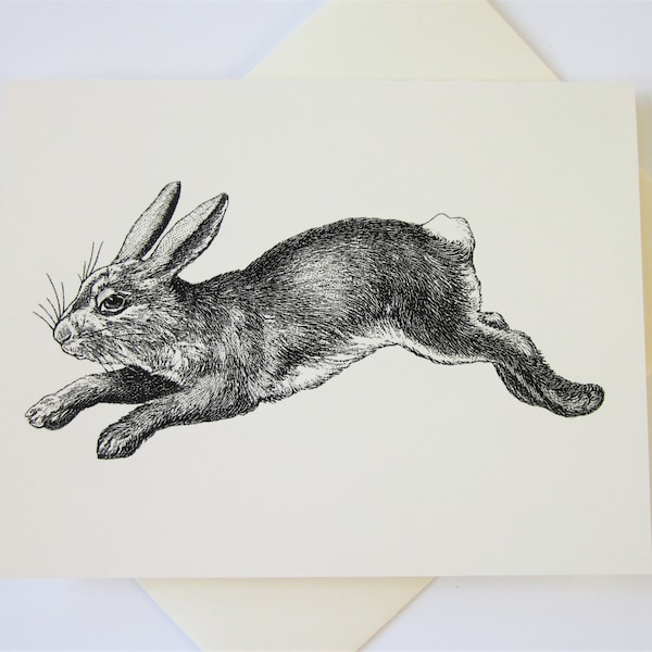 Bunny Note Cards - Etsy