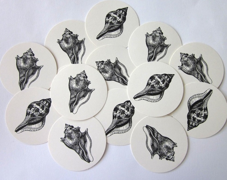 Conch Shell Tags Round Paper Gift Tags Set of 10 - Etsy