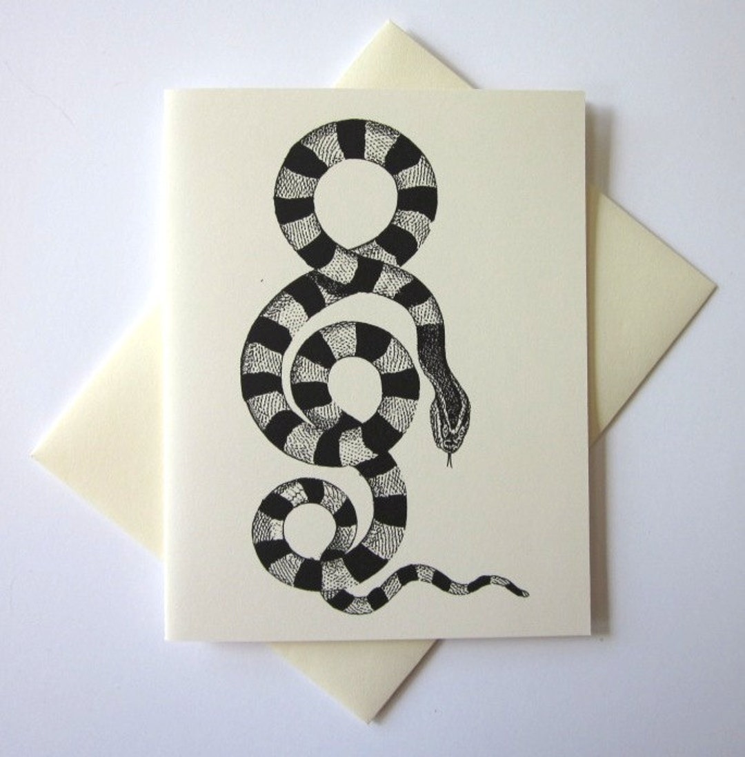 Snake Note Cards Set of 10 With Matching Envelopes - Etsy