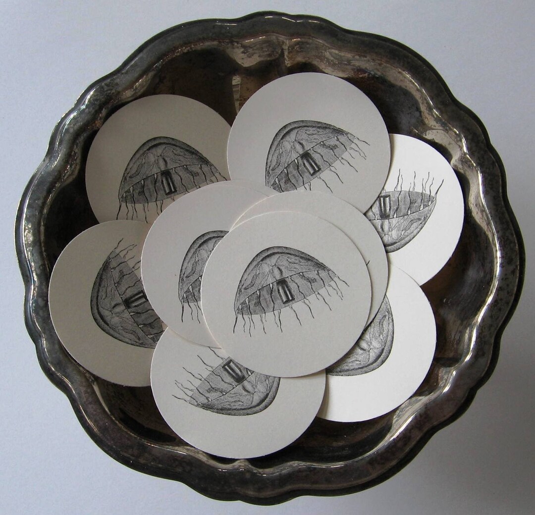 Jellyfish Tags Round Gift Tags Set of 10 - Etsy