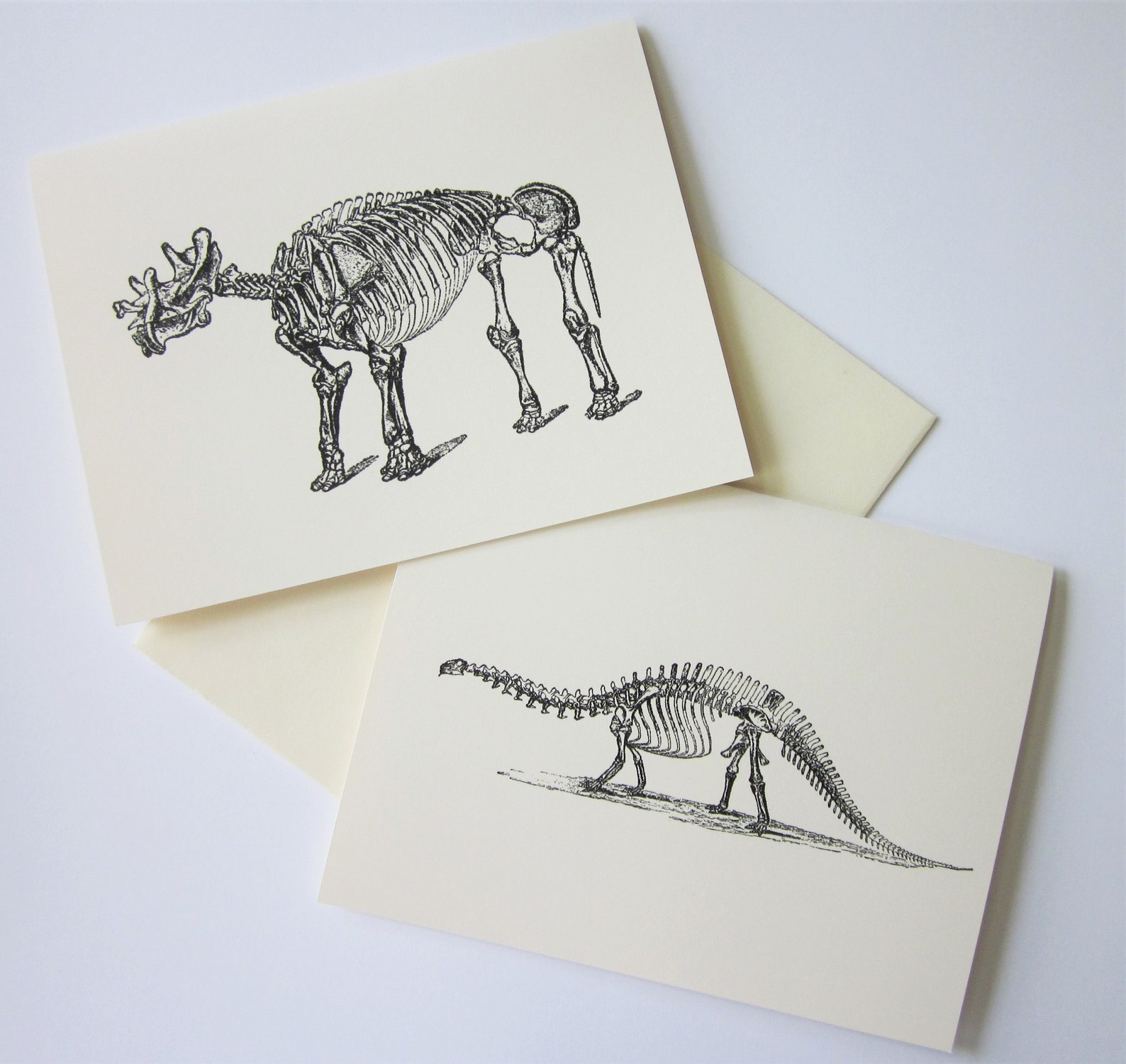 Dinosaur Skeleton Bones Note Cards Set of 12 With Matching - Etsy