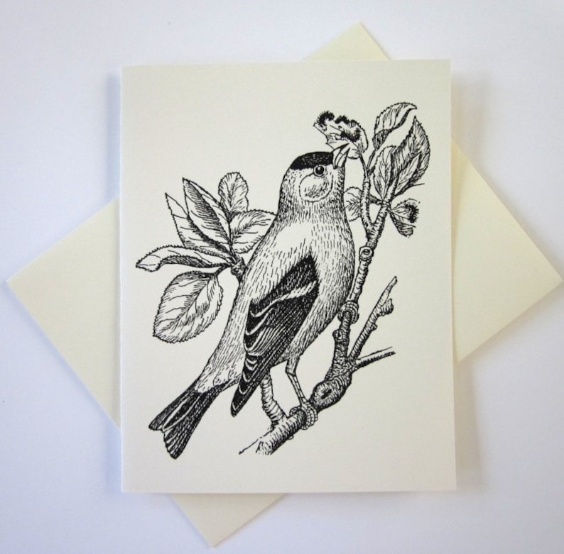 Goldfinch Bird Note Cards Stationery Set of 10 Cards in White or Light ...