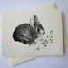 Little Rabbit Bunny Stationery Note Cards Set of 10 With - Etsy