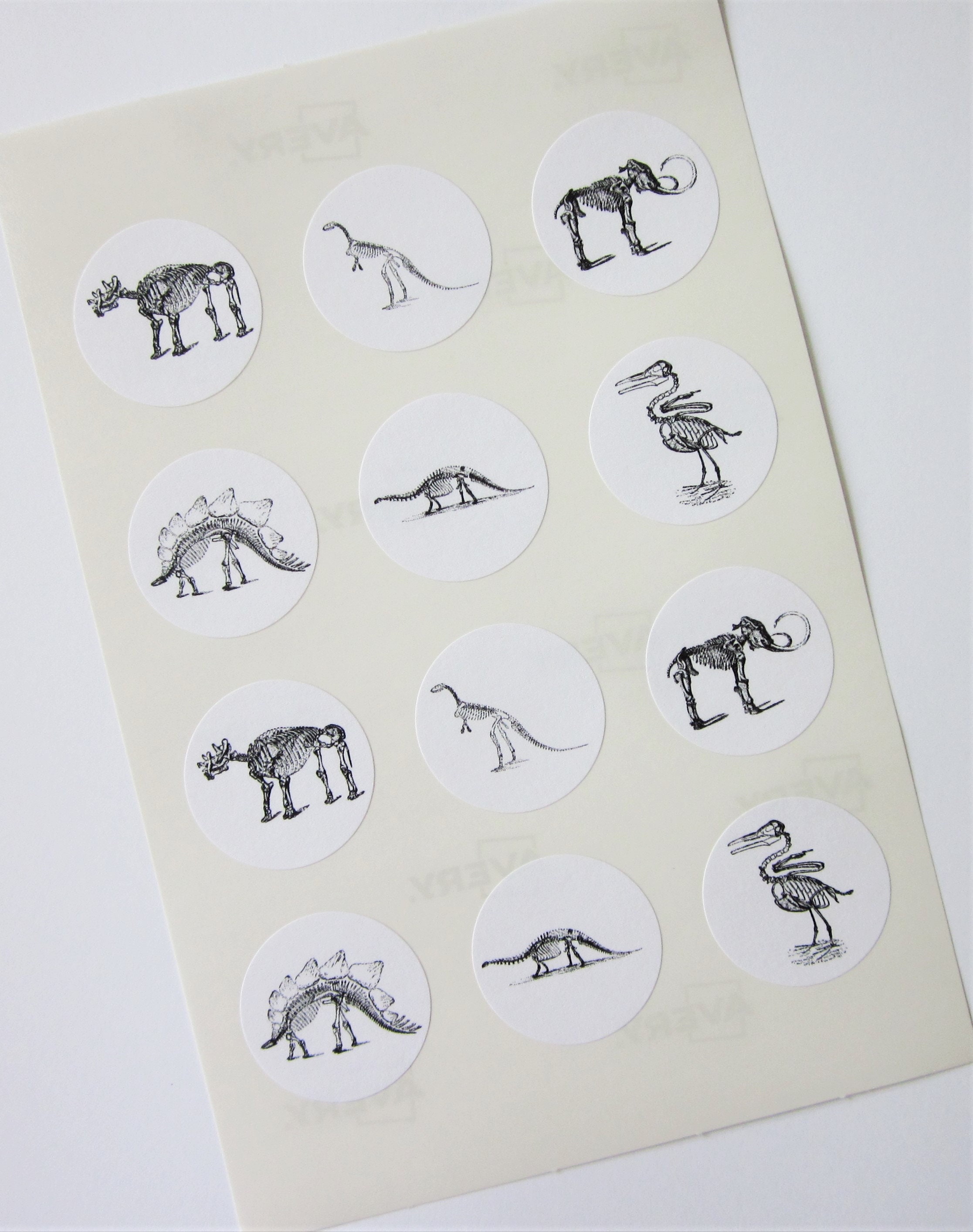 Dinosaur Skeleton Bones Stickers One Inch Round Seals - Etsy