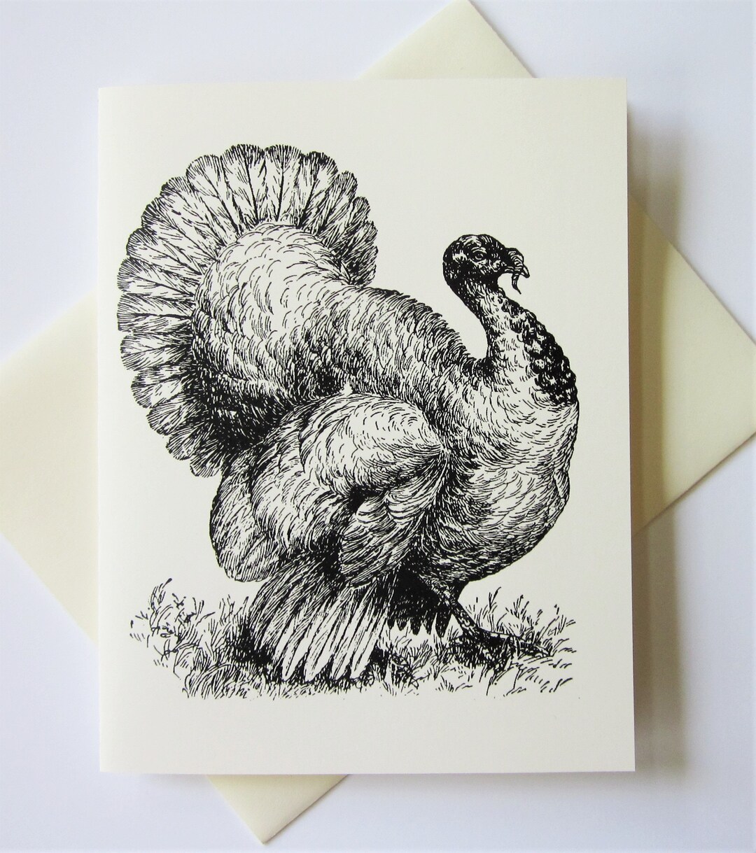 Turkey Stationery Note Cards Set of 10 With Matching Envelopes - Etsy