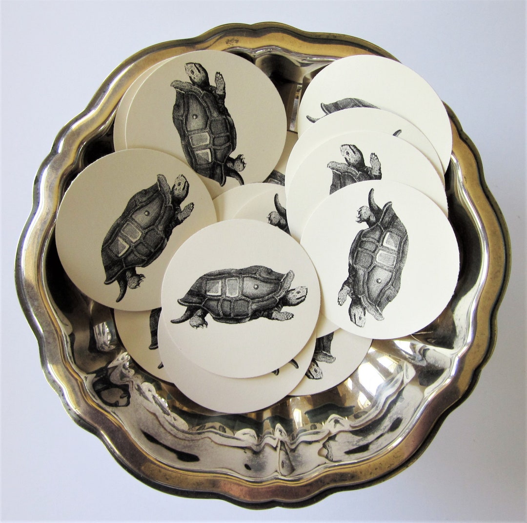 Turtle Tortoise Tags Round Paper Gift Tags Set of 10 - Etsy
