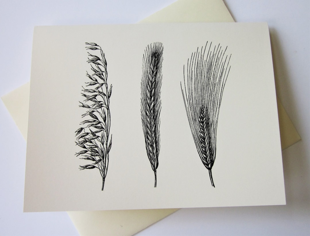 Wheat Note Cards Set of 10 With Matching Envelopes - Etsy