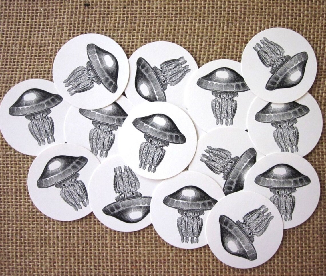 Jellyfish Tags Round Paper Gift Tags Set of 10 - Etsy