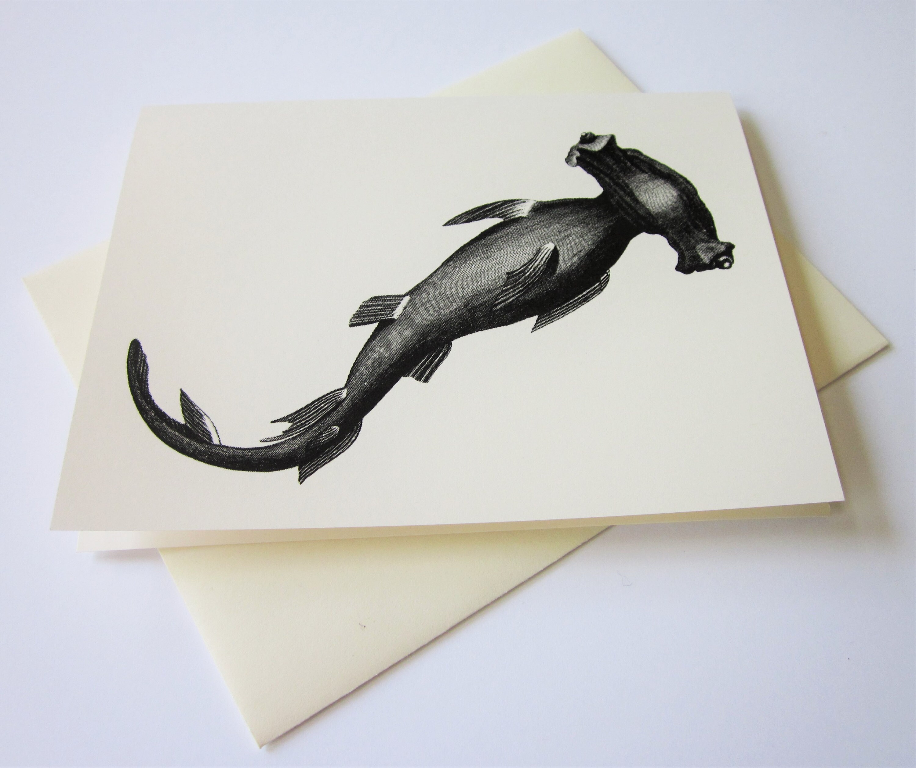 Hammerhead Shark Note Cards Stationery Set of 10 Cards in - Etsy