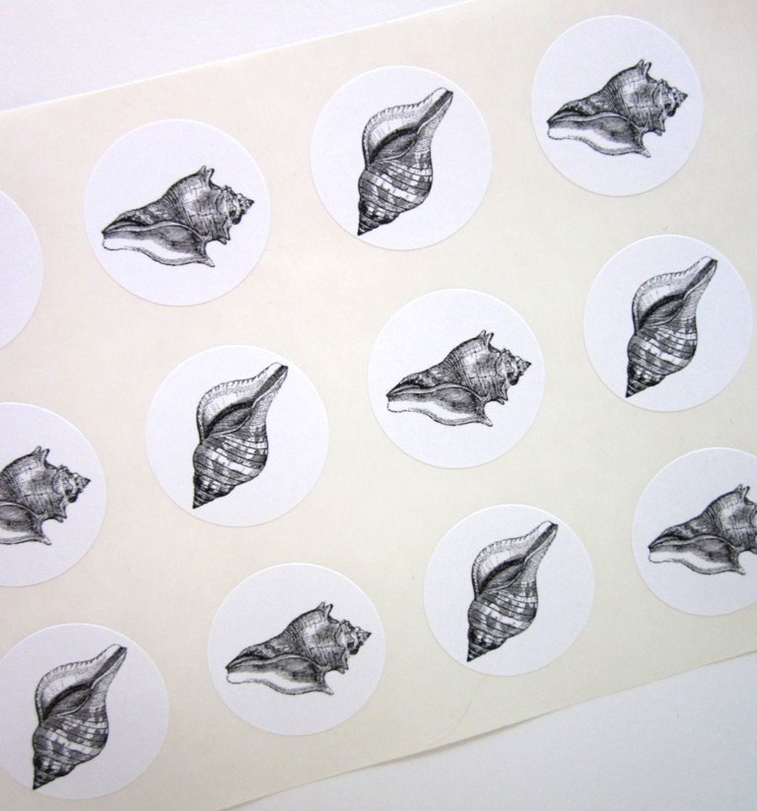 Conch Shell Stickers One Inch Round Seals - Etsy