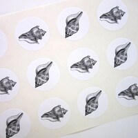 Conch Shell Sticker - Etsy