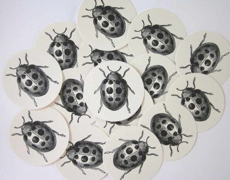 Ladybug Tags Round Paper Gift Tags Set of 10 | Etsy