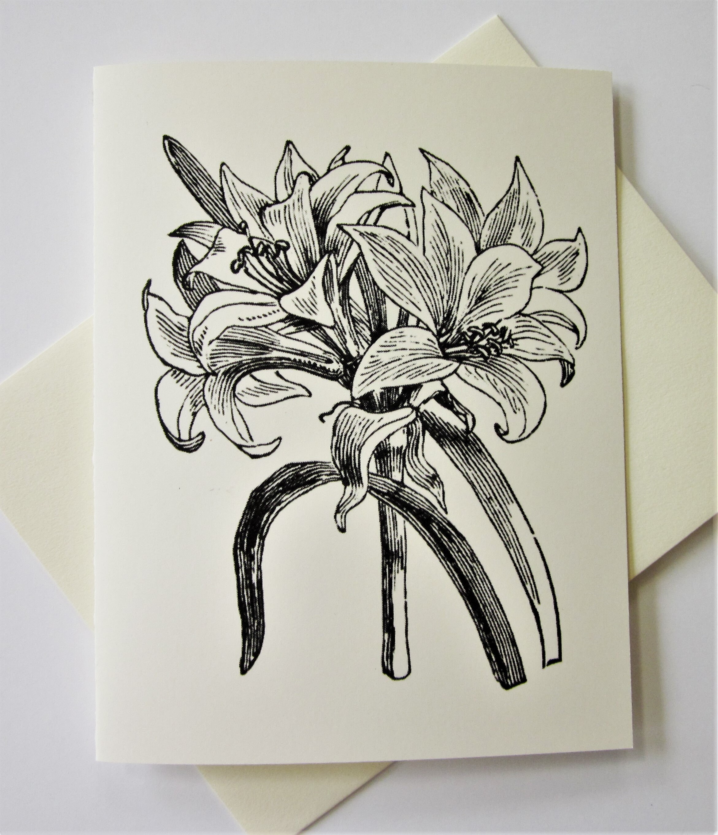 Lily Flower Note Cards Set of 10 With Matching Envelopes - Etsy