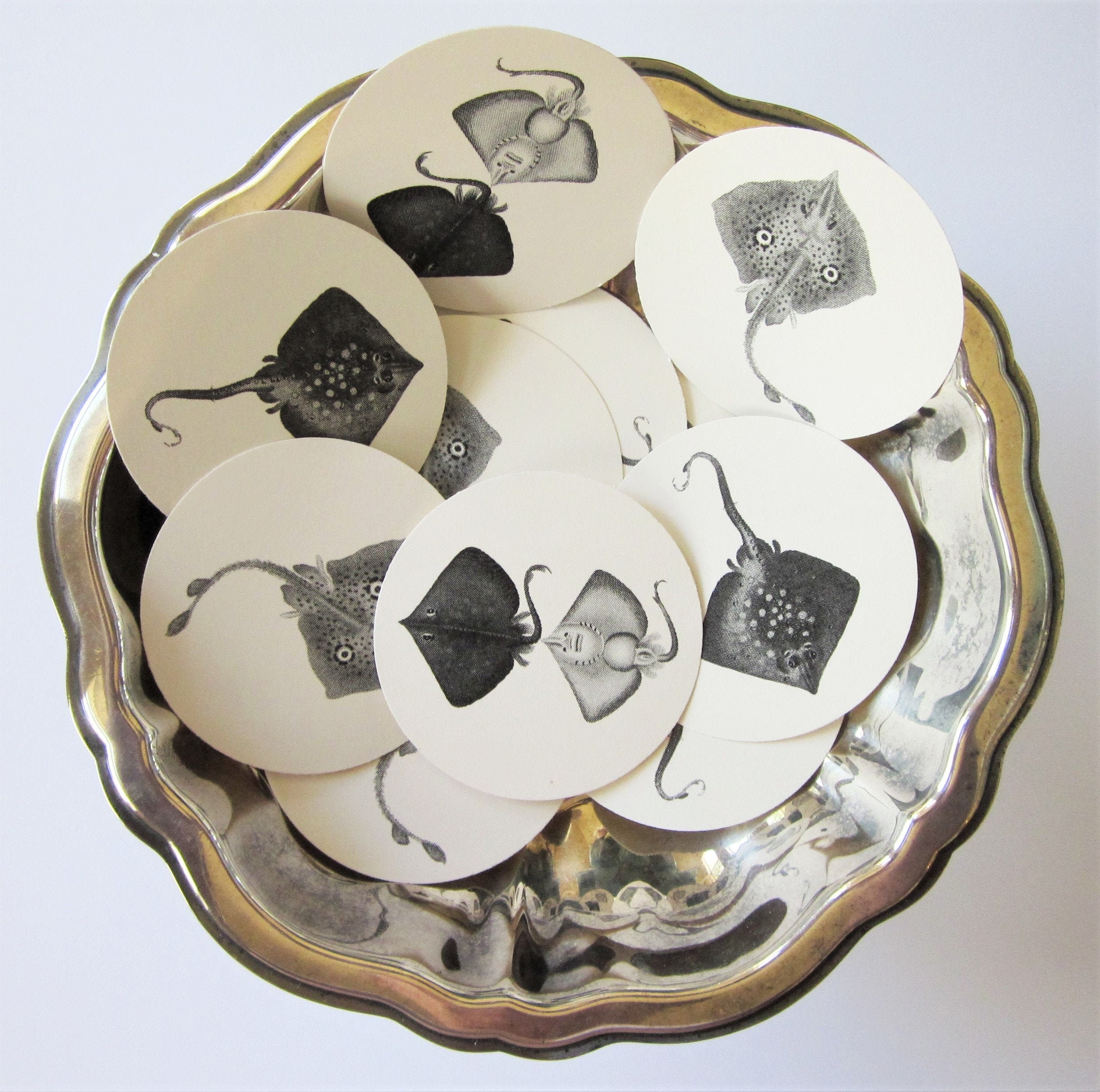 Sting Ray Tags Round Paper Gift Tags Set of 10 | Etsy