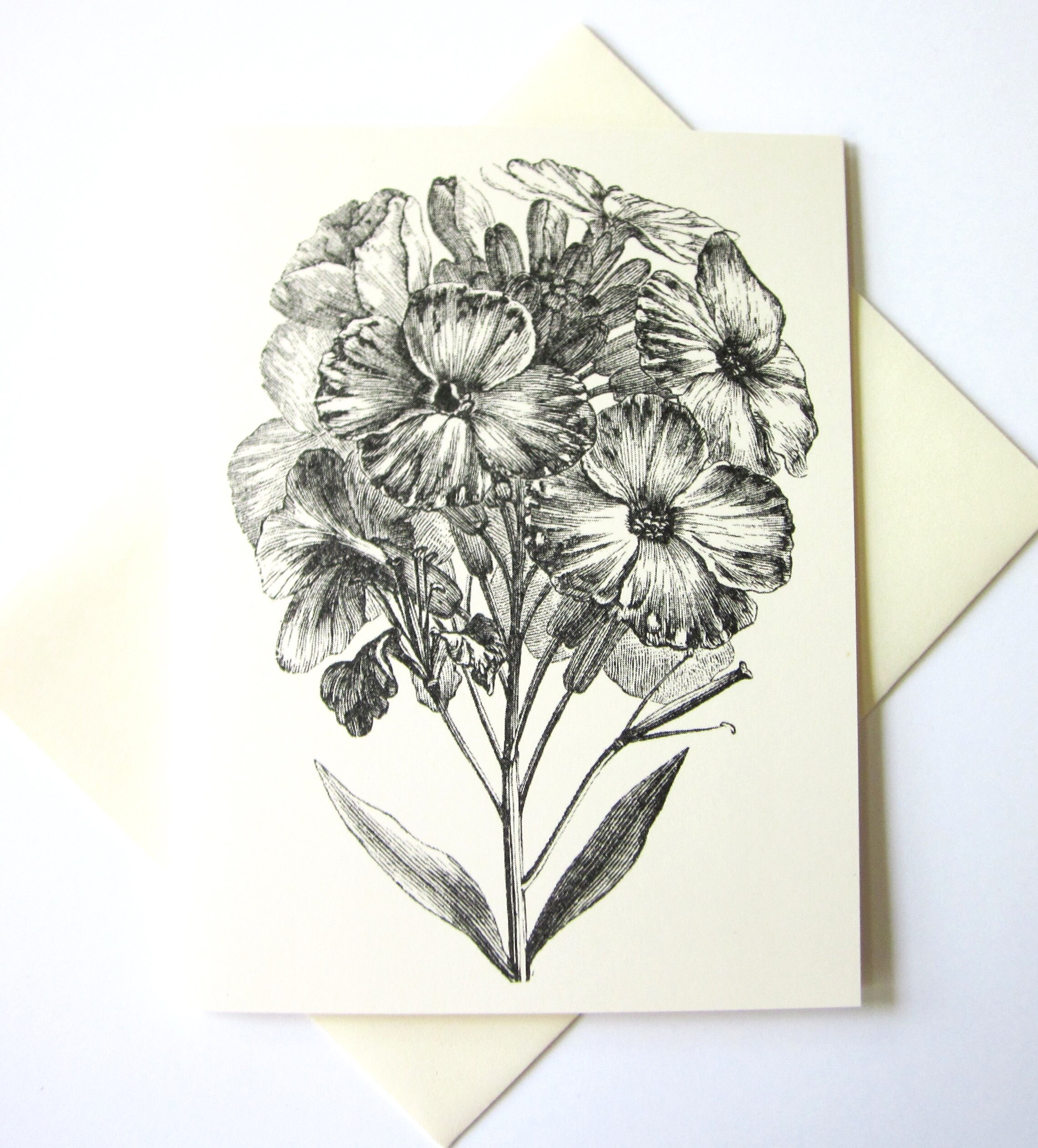 Wallflower Flower Floral Note Card Set of 10 in White or Light - Etsy