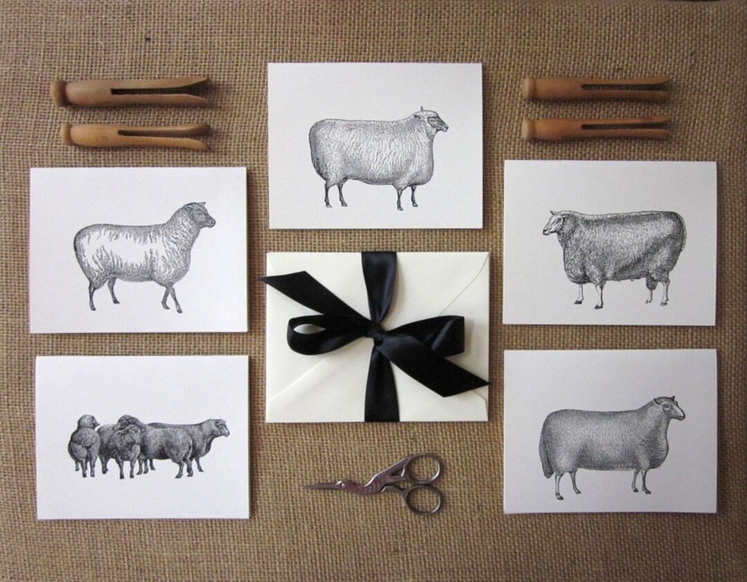 Sheep Lamb Note Cards Set of 10 With Matching Envelopes - Etsy