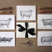 Sheep Greeting Card - Etsy