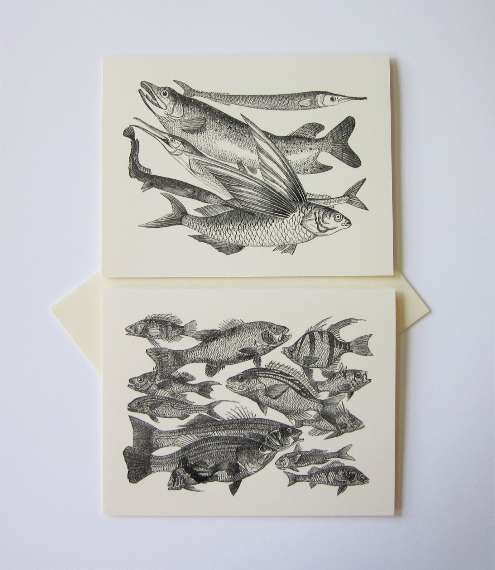 Fish Note Cards Set of 12 With Matching Envelopes - Etsy