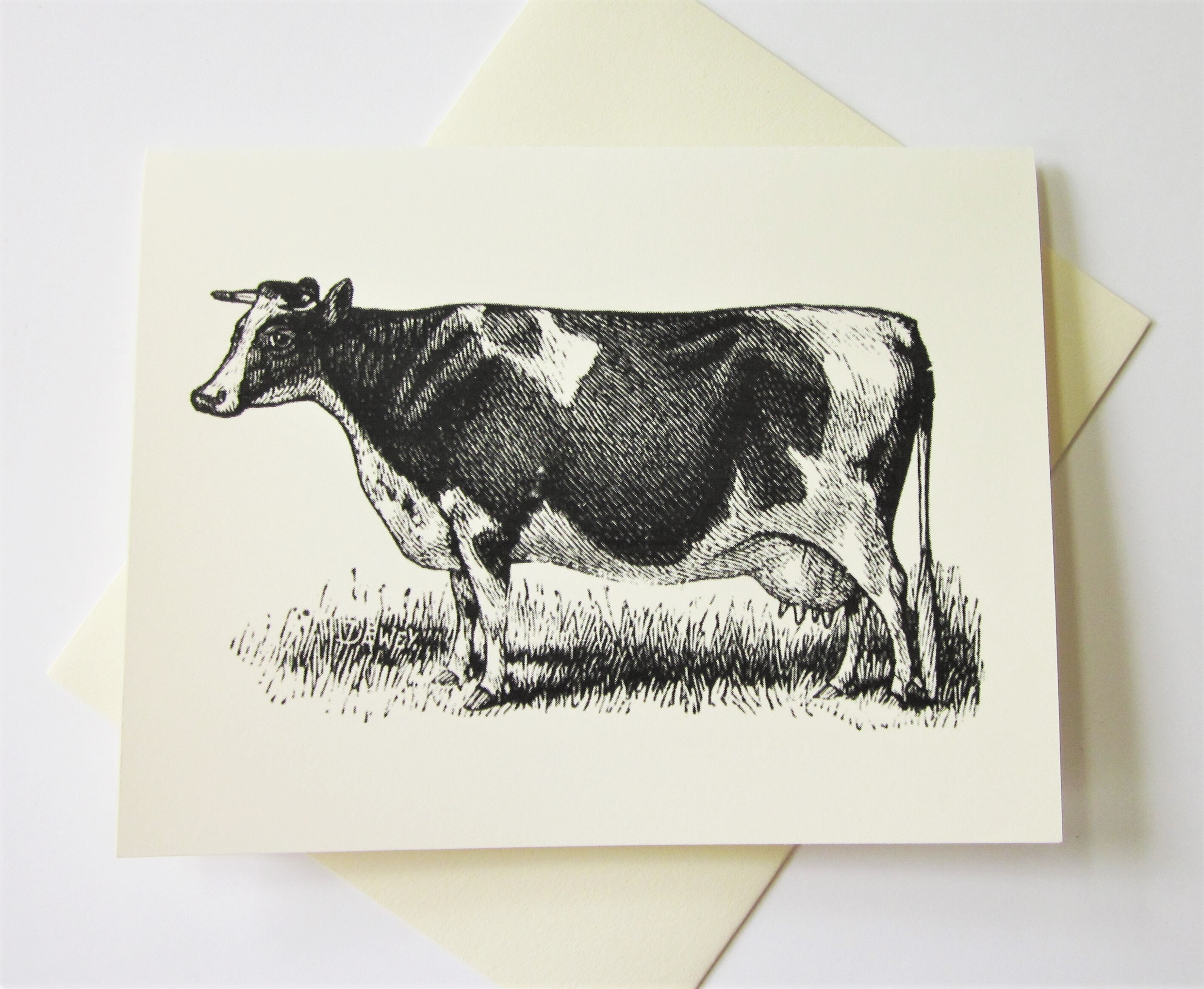 Cow Note Cards Set of 10 With Matching Envelopes - Etsy