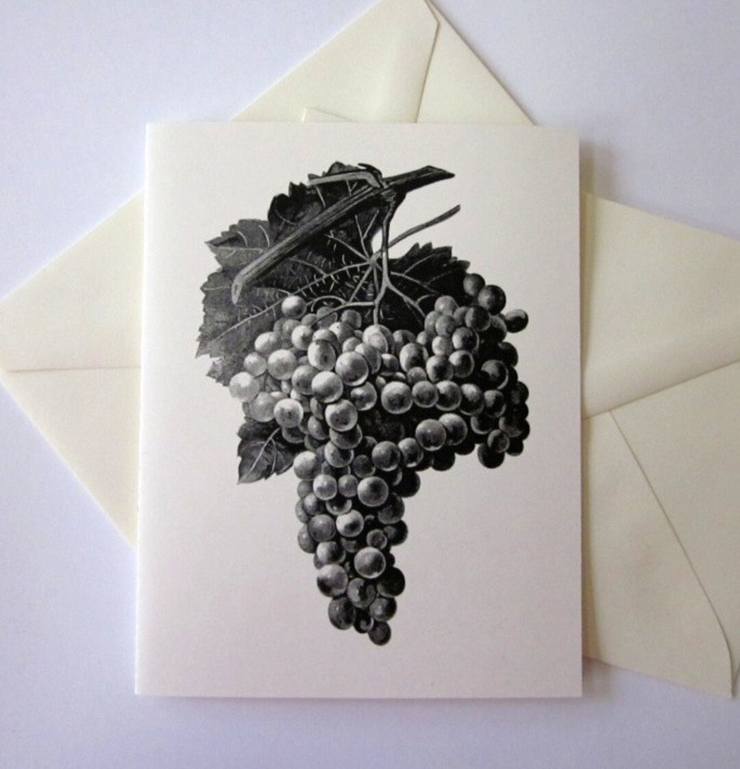 Grapes Note Cards Set of 10 With Matching Envelopes - Etsy