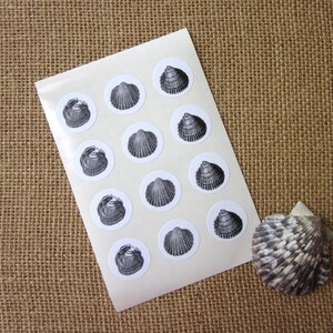 Shell Stickers One Inch Round Seals - Etsy