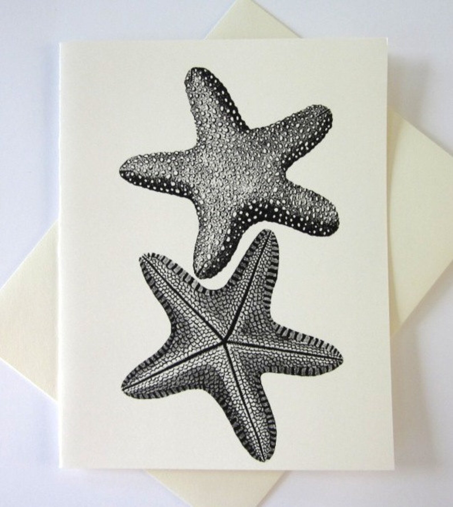 Starfish Note Card Set of 10 in White or Light Ivory With - Etsy