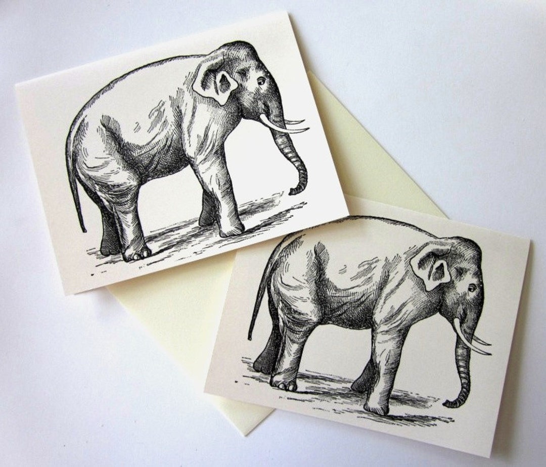 Elephant Note Cards Stationery Set of 10 Cards - Etsy