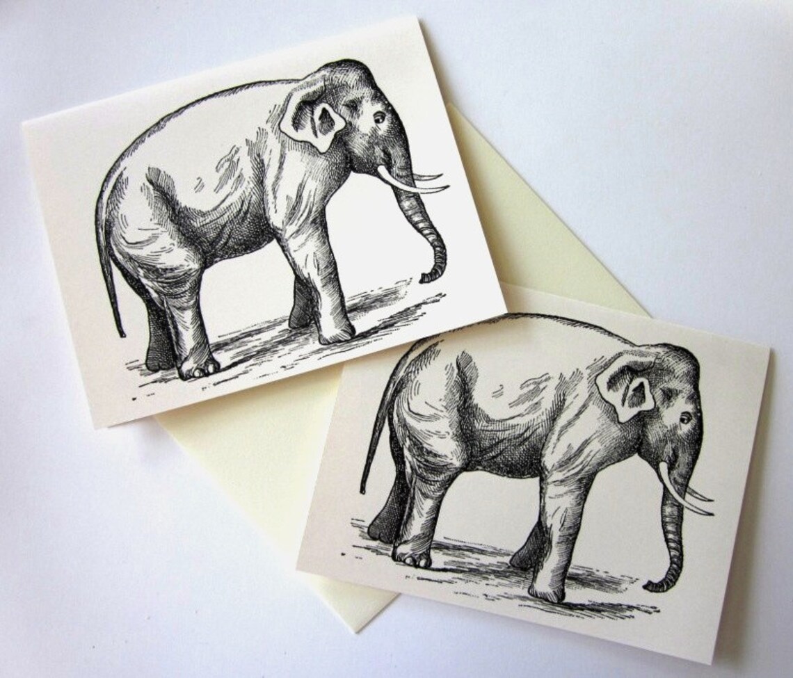 Elephant Note Cards Stationery Set of 10 Cards - Etsy