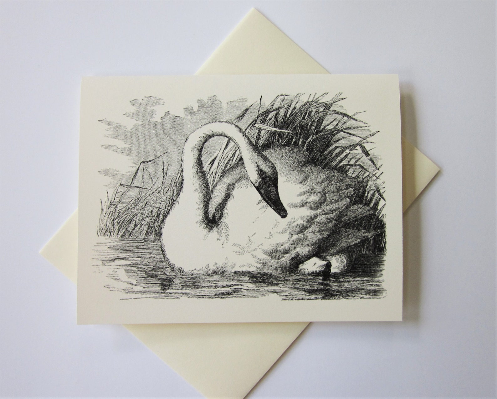 Swan Note Cards Set of 10 With Matching Envelopes - Etsy