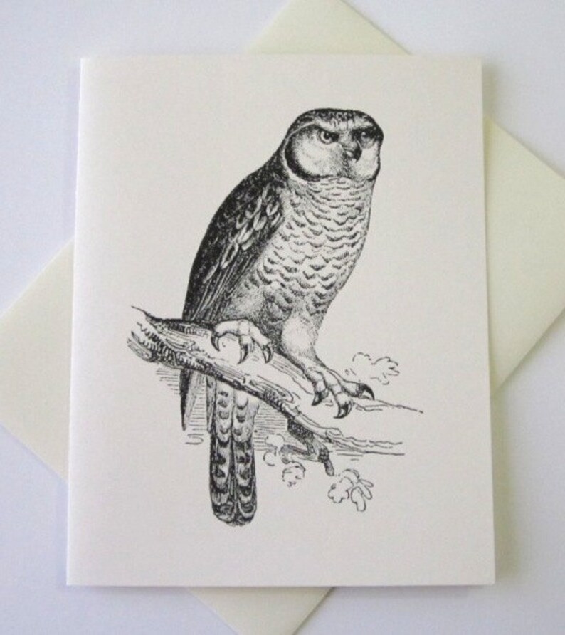 Owl Note Cards Stationery Set of 10 Cards With Matching Envelopes - Etsy