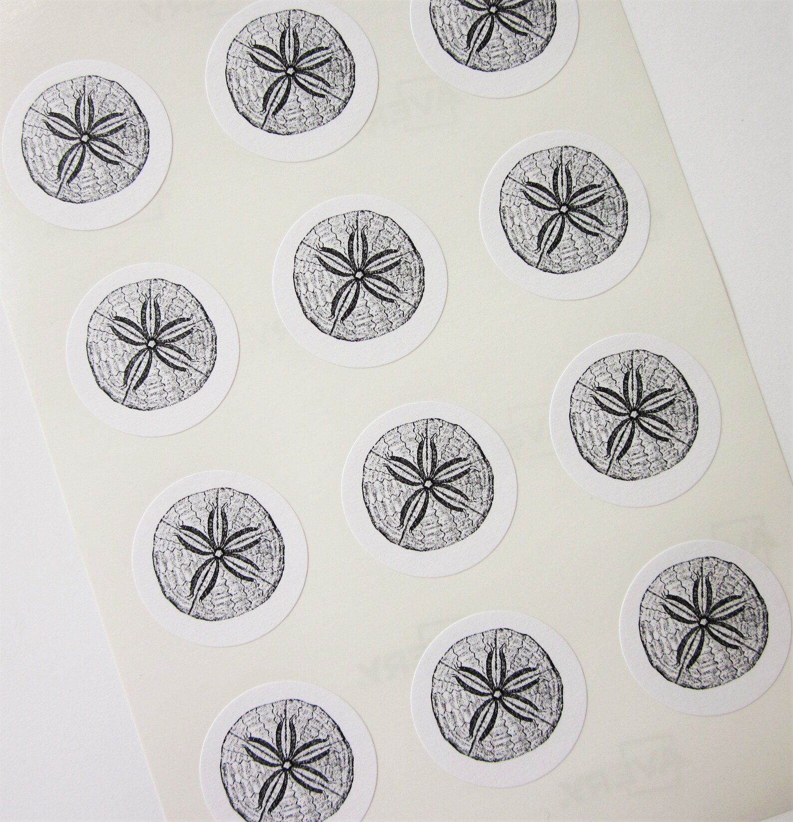Sand Dollar Stickers One Inch Round Seals - Etsy