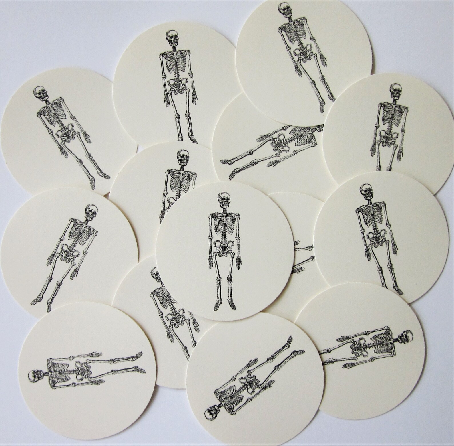Skeleton Tags Round Paper Gift Tags Set of 10 - Etsy