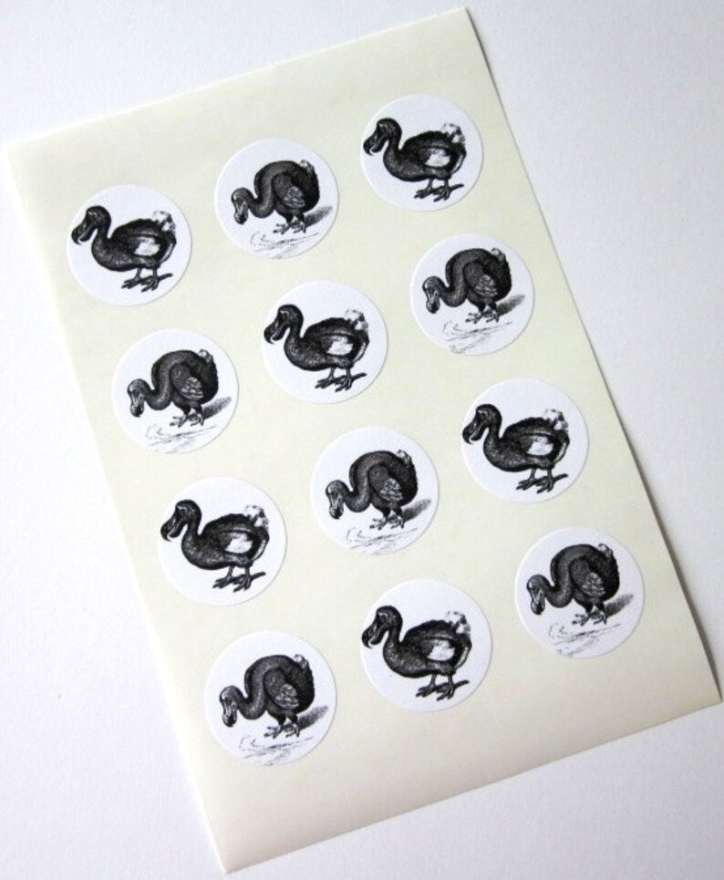 Dodo Bird Stickers One Inch Round Seals - Etsy