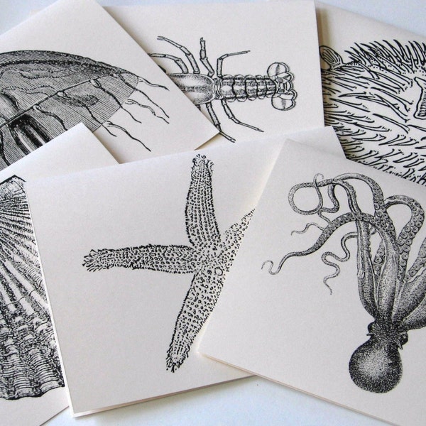 Nautical Note Cards - Etsy