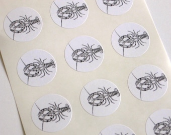 Orange Fruit Stickers One Inch Round Seals | Etsy