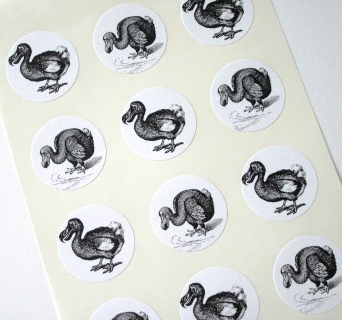 Dodo Bird Stickers One Inch Round Seals - Etsy