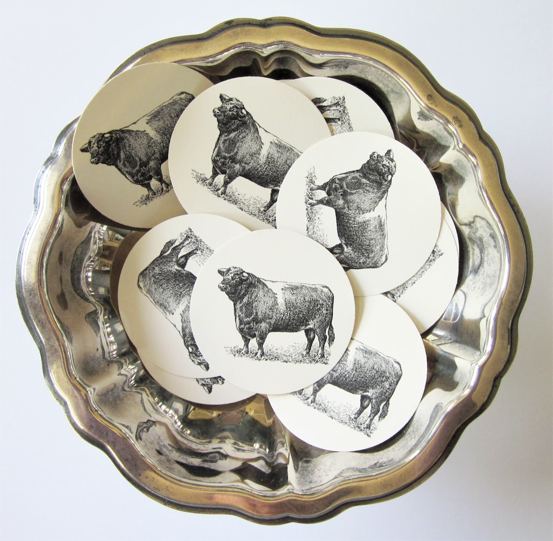 Bull Tags Round Paper Gift Tags Set of 10 - Etsy