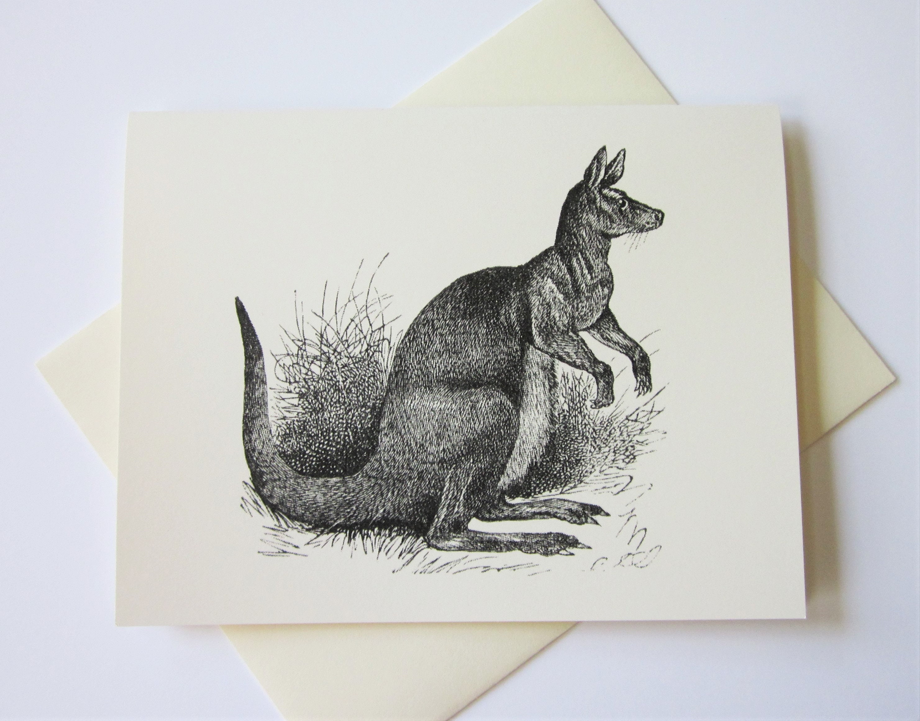 Kangaroo Note Cards Set of 10 With Matching Envelopes - Etsy