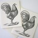 Chicken Rooster Note Cards Stationery Set of 10 Cards With Matching ...