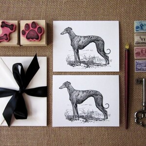 Whippet Greyhound Dog Note Cards Set of 10 With Matching Envelopes - Etsy